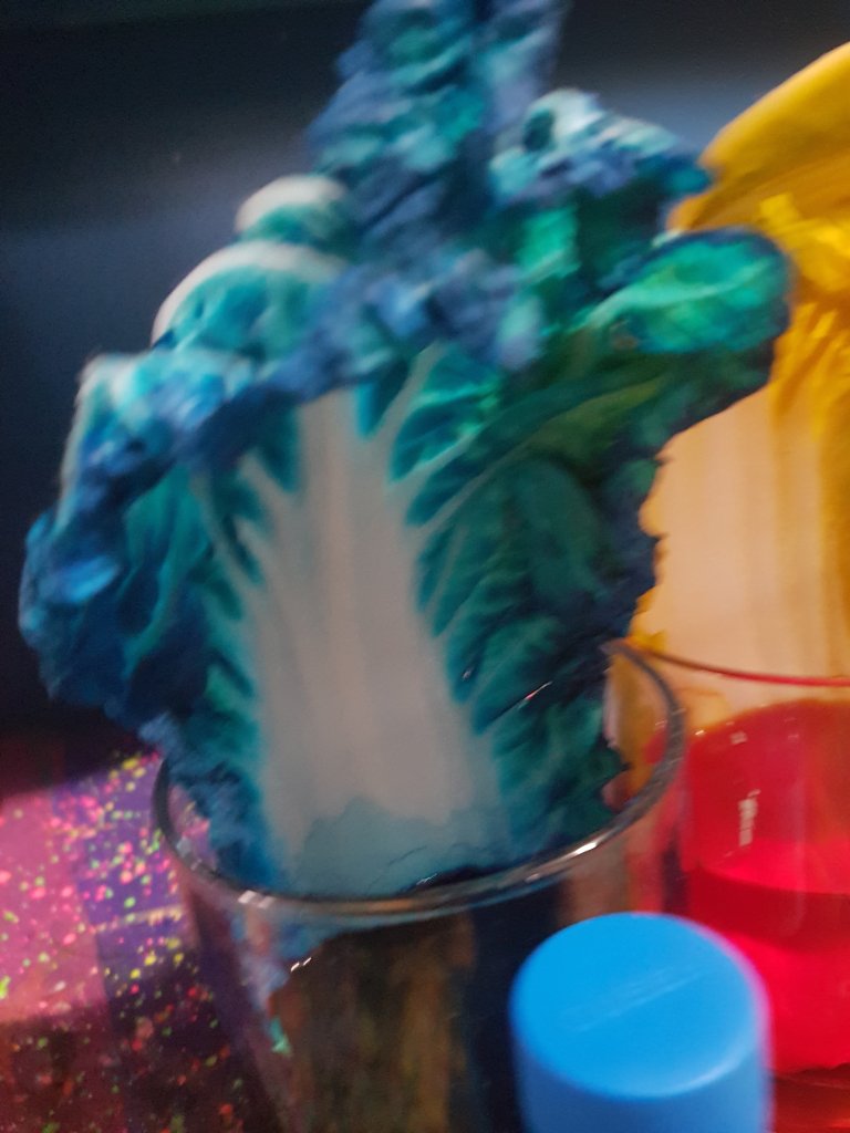 Cabbage leaves & food colouring experiment. – Ema Lou kids art craft