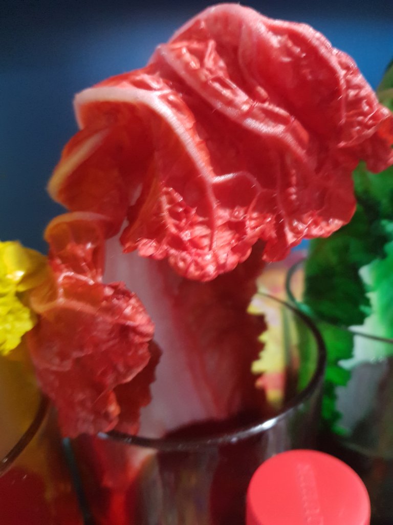Cabbage leaves & food colouring experiment. – Ema Lou kids art craft