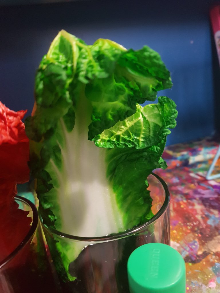 Cabbage leaves & food colouring experiment. – Ema Lou kids art craft